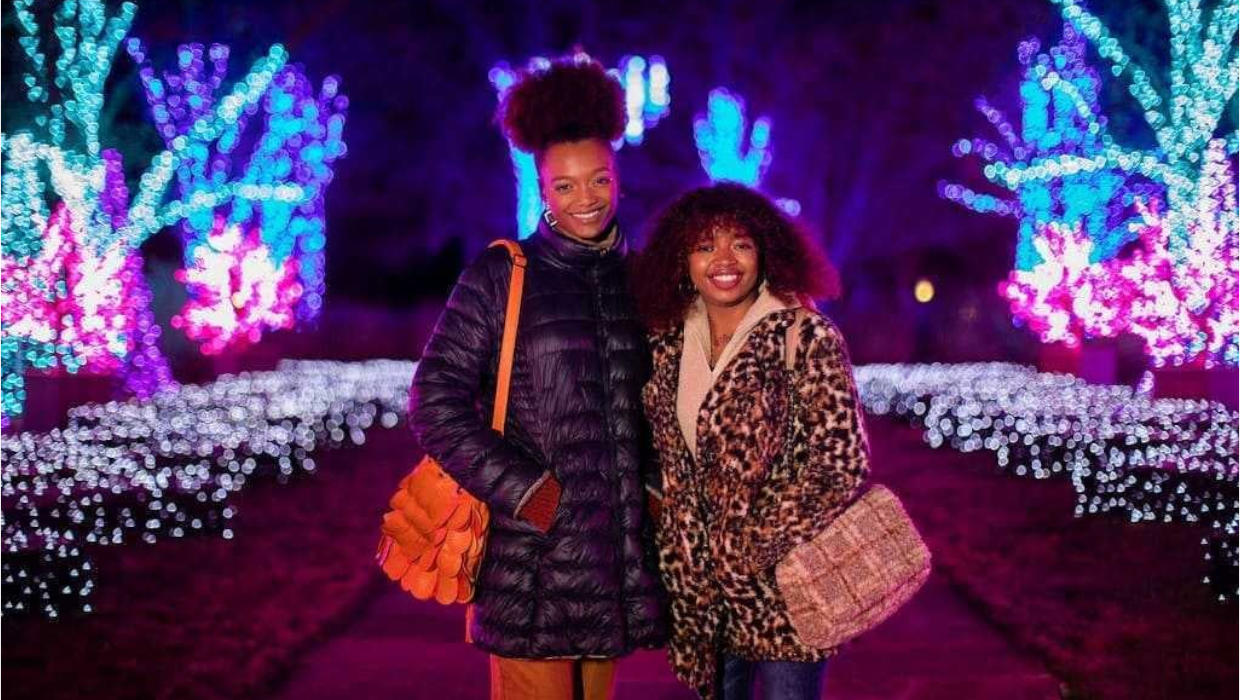 Metro Detroit Christmas Lights Shows 2025 | Oakland County Moms