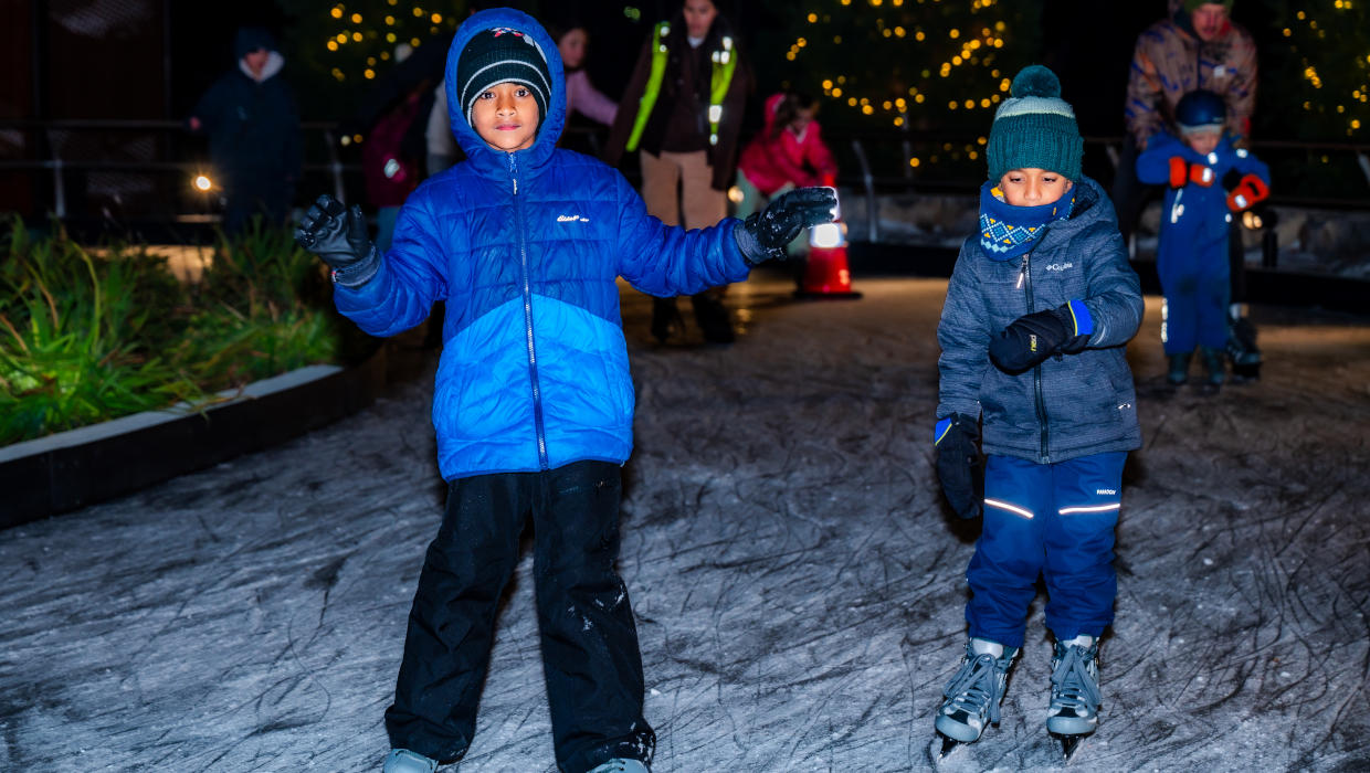 Troy Skating Rink at Stine Park 2025 / 2026 Season | Oakland County Moms