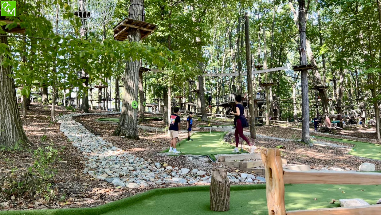 TreeRunner West Bloomfield Mini Golf 2026 | Oakland County Moms